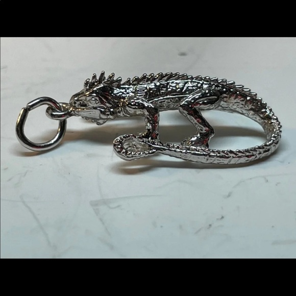 Jewelry | Ss Lizard Pendant | Poshmark